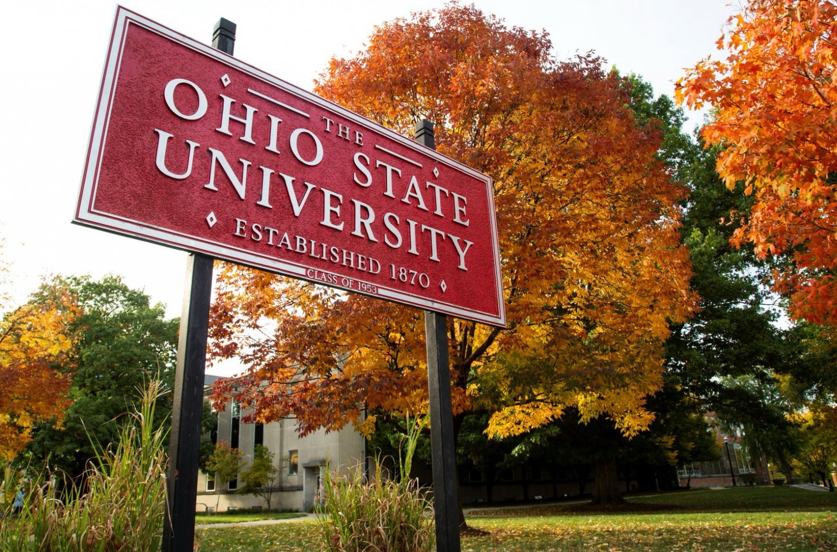 The Flash – RISHI RAJAGOPALAN